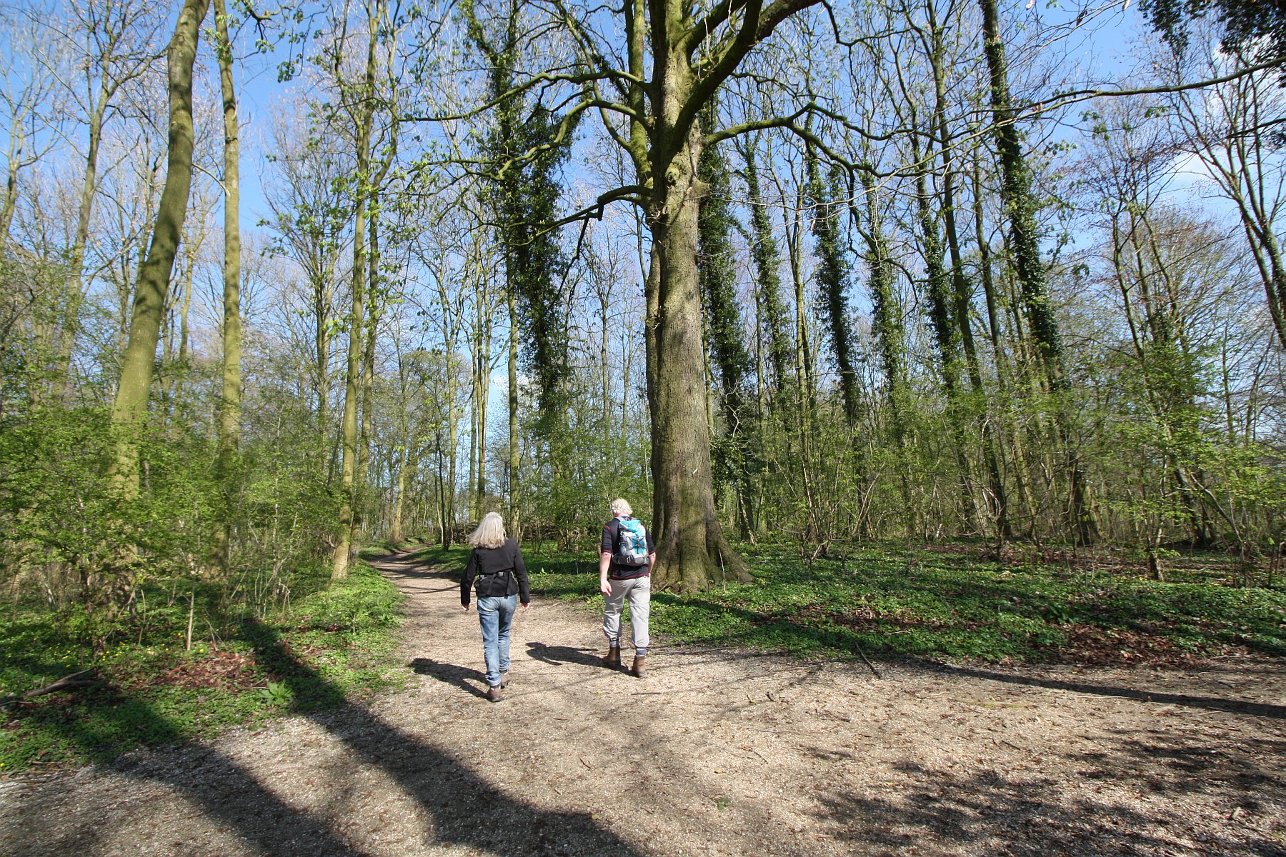 Het Plantsoen - Groene geschiedenis op het kasteelterrein